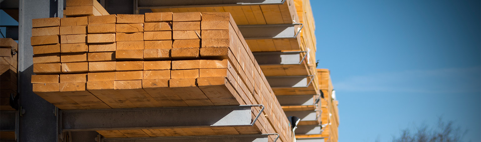 Glossary of Terms - Harmony Timber